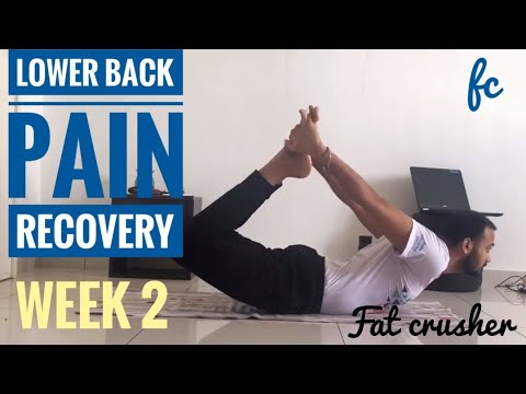 Lower back pain recovery || No equipment ️ || week 2 - YouTube