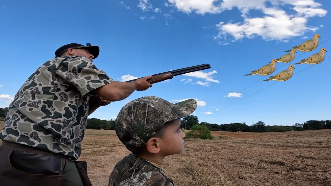 Cazando Palomas Con Escopeta Calibre 20 Por Primera Vez - YouTube