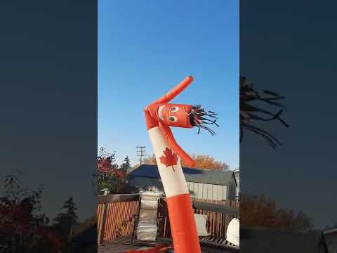 wacky tube man/air dancer review - YouTube