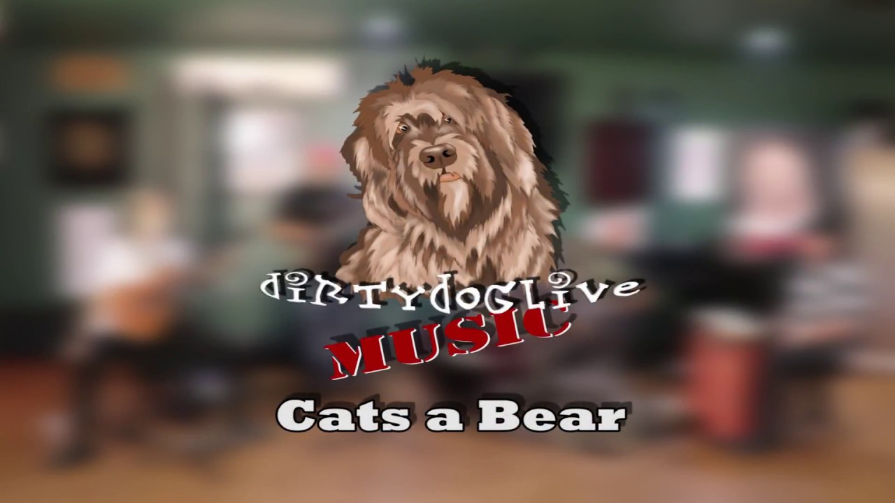 Dirty Dog Live Music-Cats A Bear - YouTube