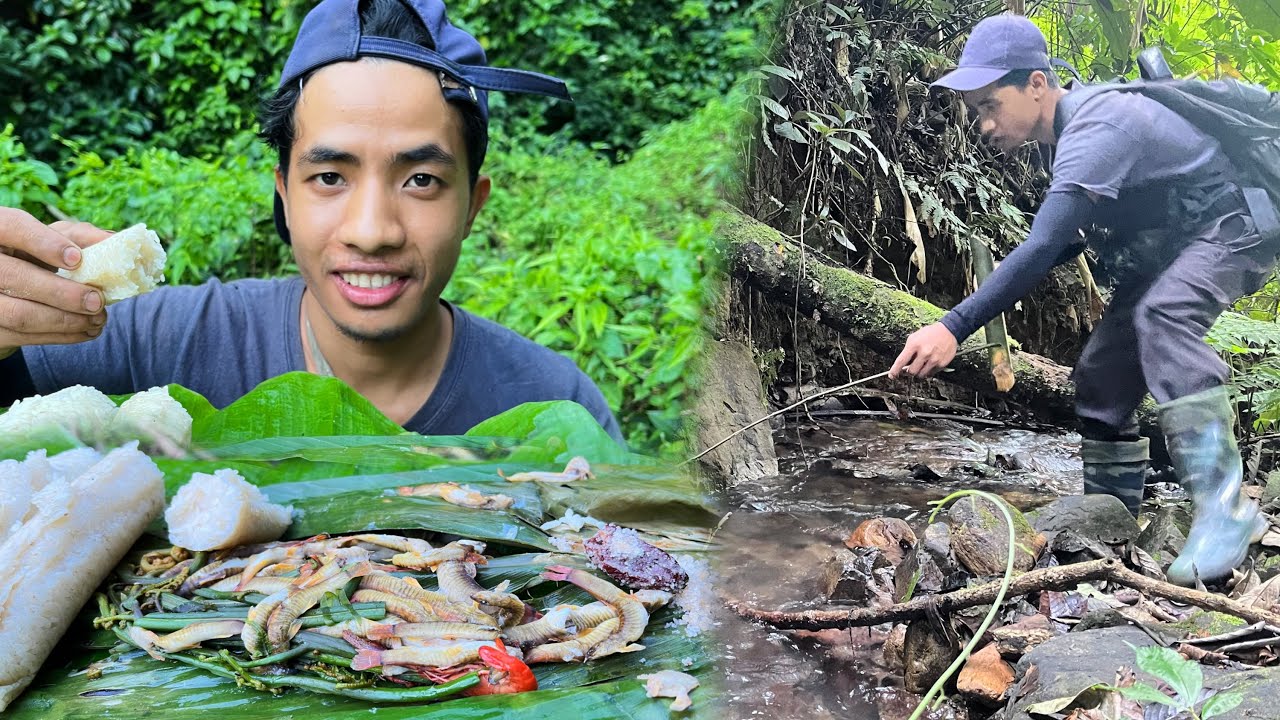 {Catch and Cook } Stream Fishing Adventure. - YouTube