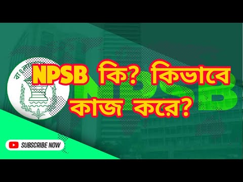 NPSB কি? কিভাবে কাজ করে? বিস্তারিত/ What is NPSB? How does it work ...