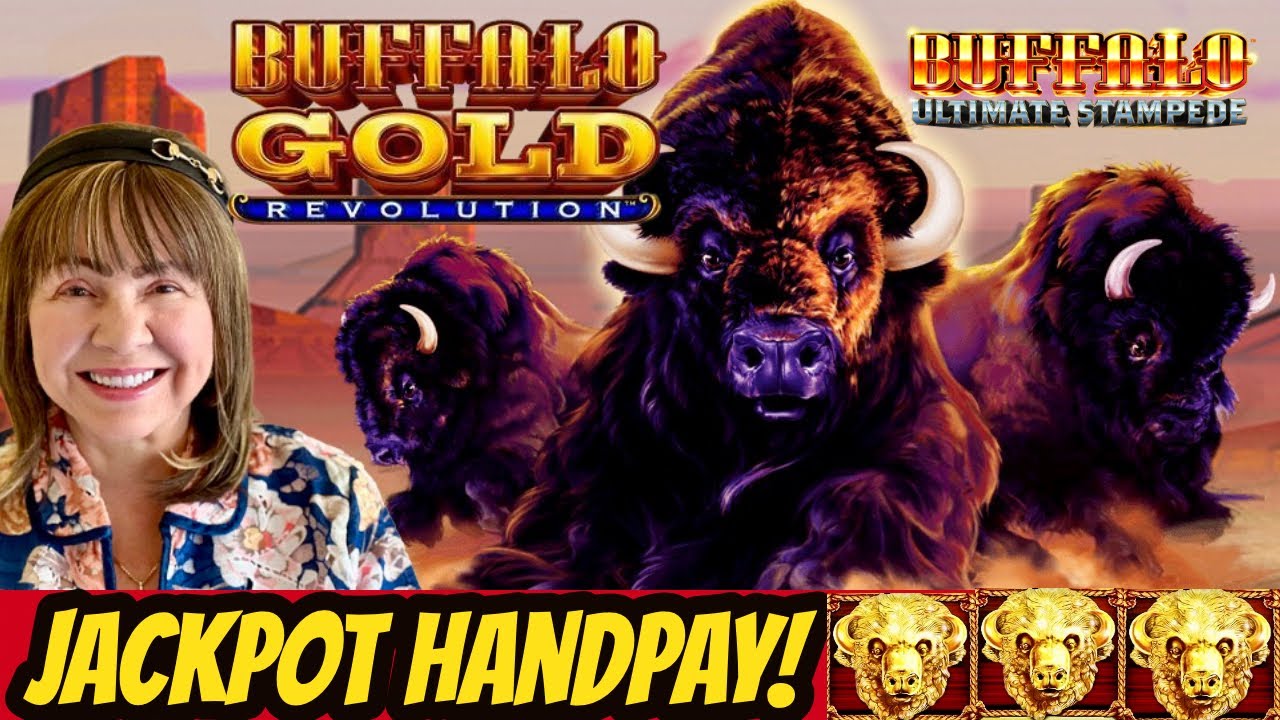 JACKPOT! THE GOOD-THE BAD & THE UGLY BUFFALO'S - YouTube