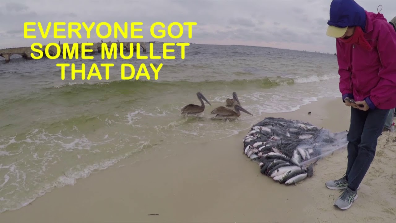 Incredible Mullet Catch - Fort Pickens - YouTube