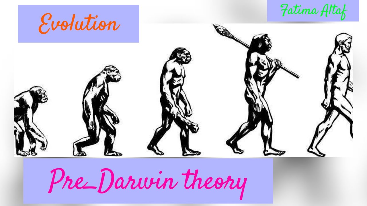 Evolution pre_Darwin theory (Evolution) - YouTube