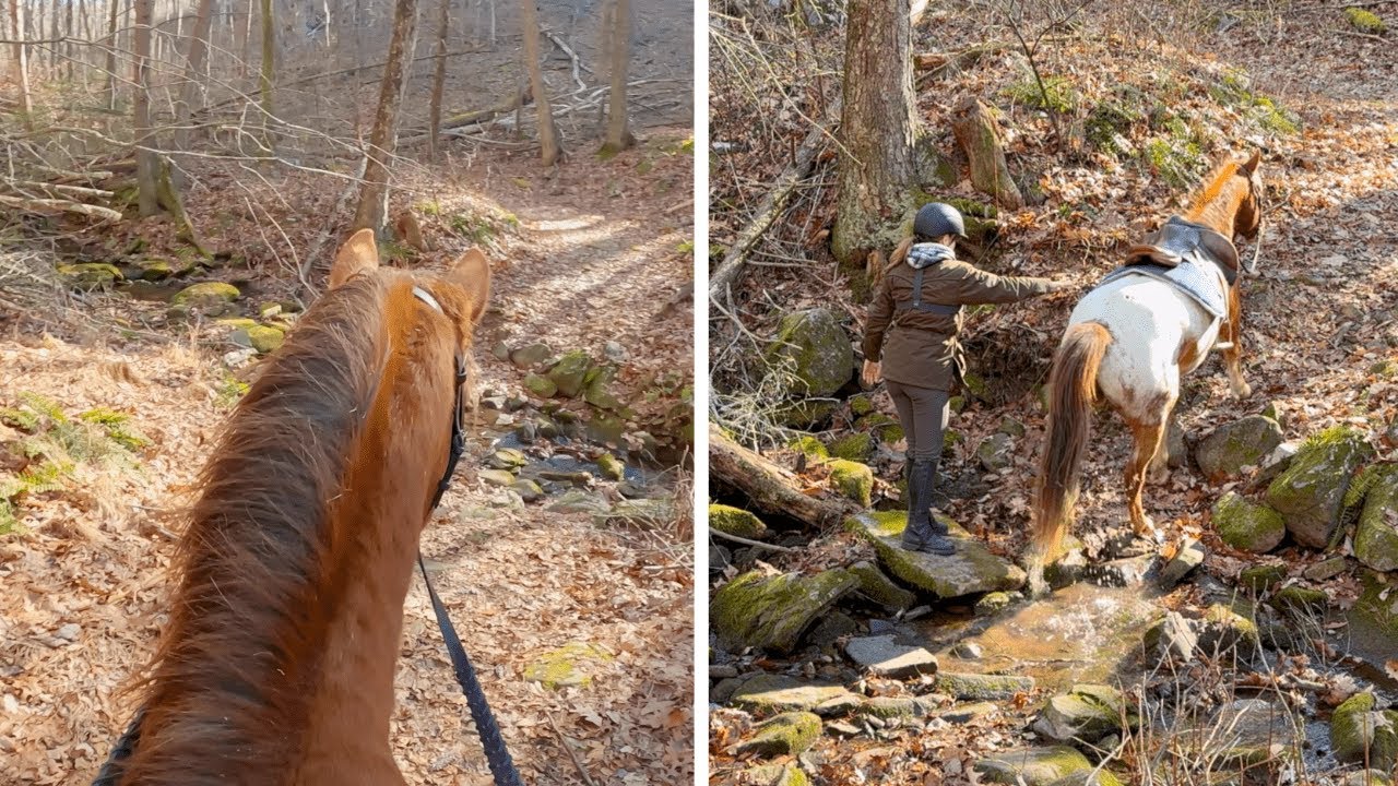 GOPRO HORSE RIDE (my horse got away!) - YouTube