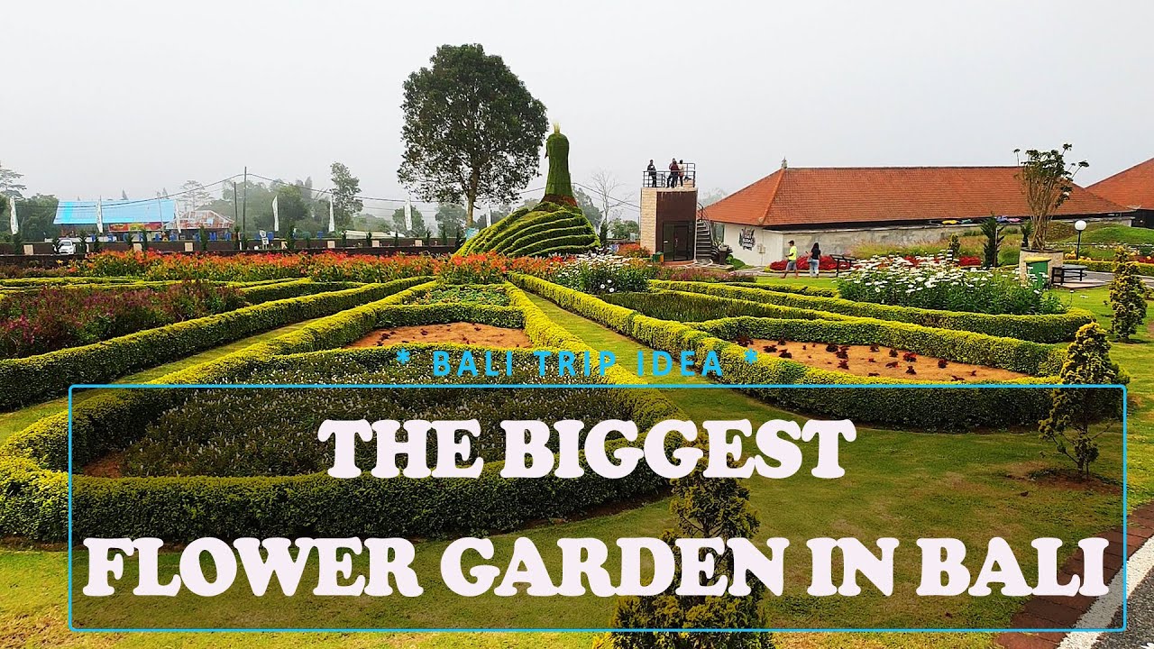 THE BLOOM GARDEN BALI | BIGGEST FLOWER GARDEN IN BALI | BALI TRAVEL ...