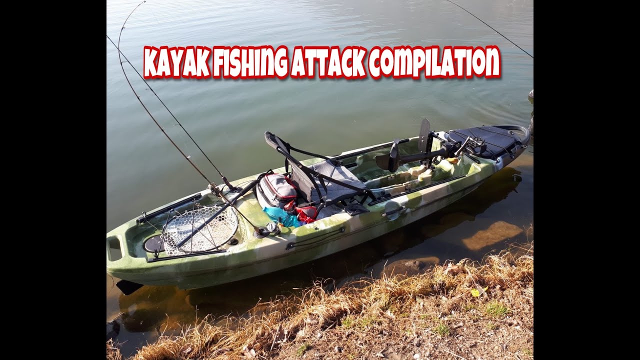 KAYAK FISHING ATTACK COMPILATION - YouTube