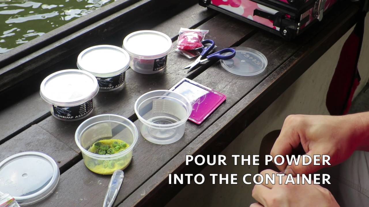 Shrimp Assassin Marinated Chicken Bait for Prawning - YouTube