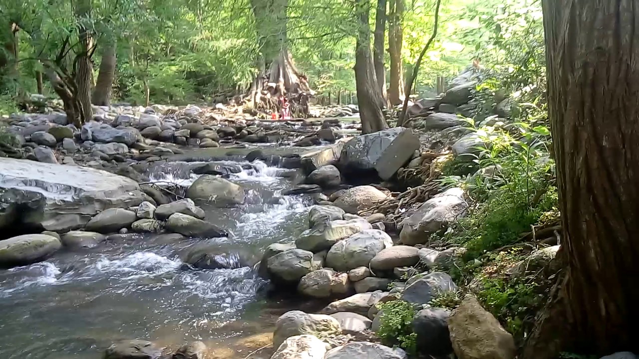 los troncones cd.victoria - YouTube