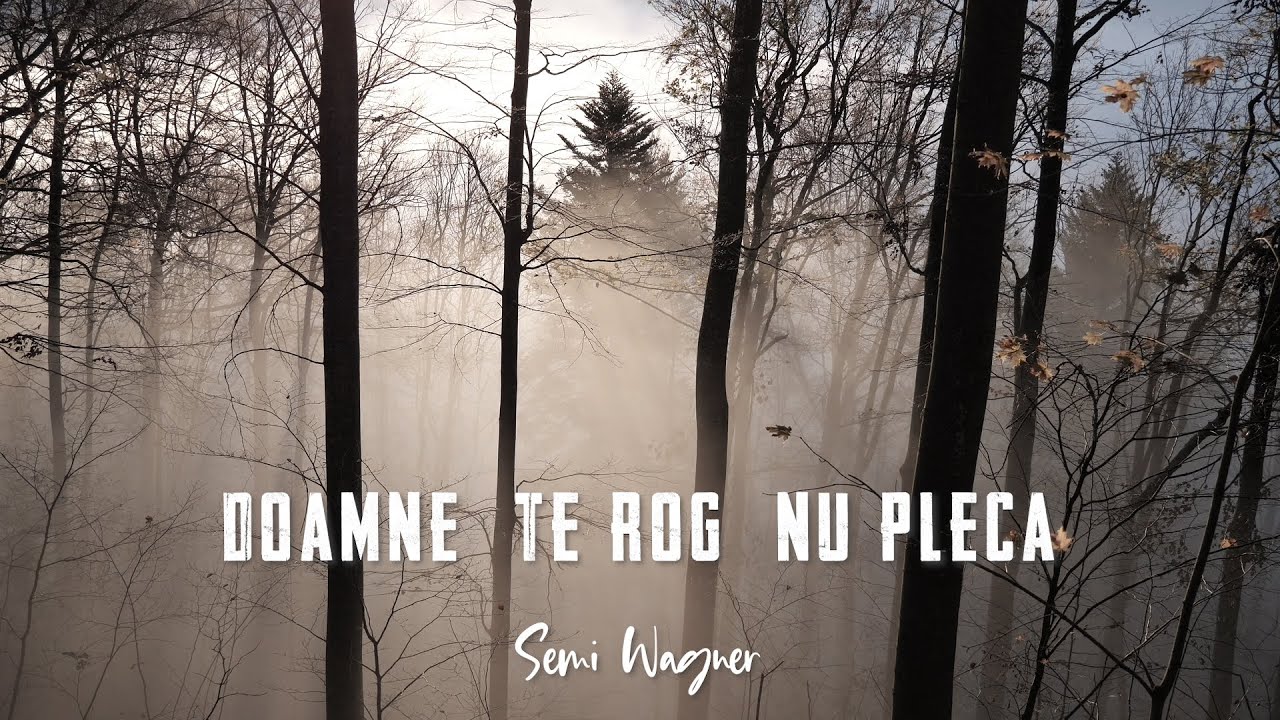 Semi Wagner - Doamne, Te rog, nu pleca Chords - Chordify Semi Wagner - Doamne, Te rog, nu pleca Chords - Chordify