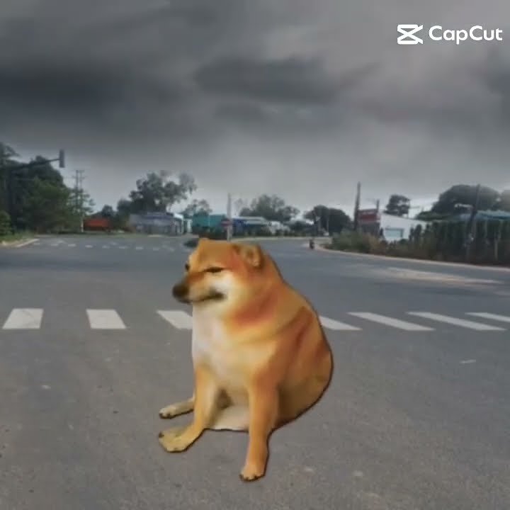 Quả táo nhãn lòng của cheems =)) - YouTube