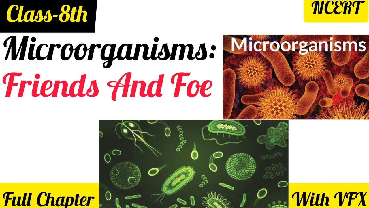Microorganisms Friends and Foe Full Chapter Class 8th Science NCERT # ...