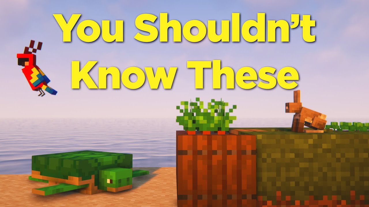 50 More Useless Facts About Technical Minecraft - YouTube