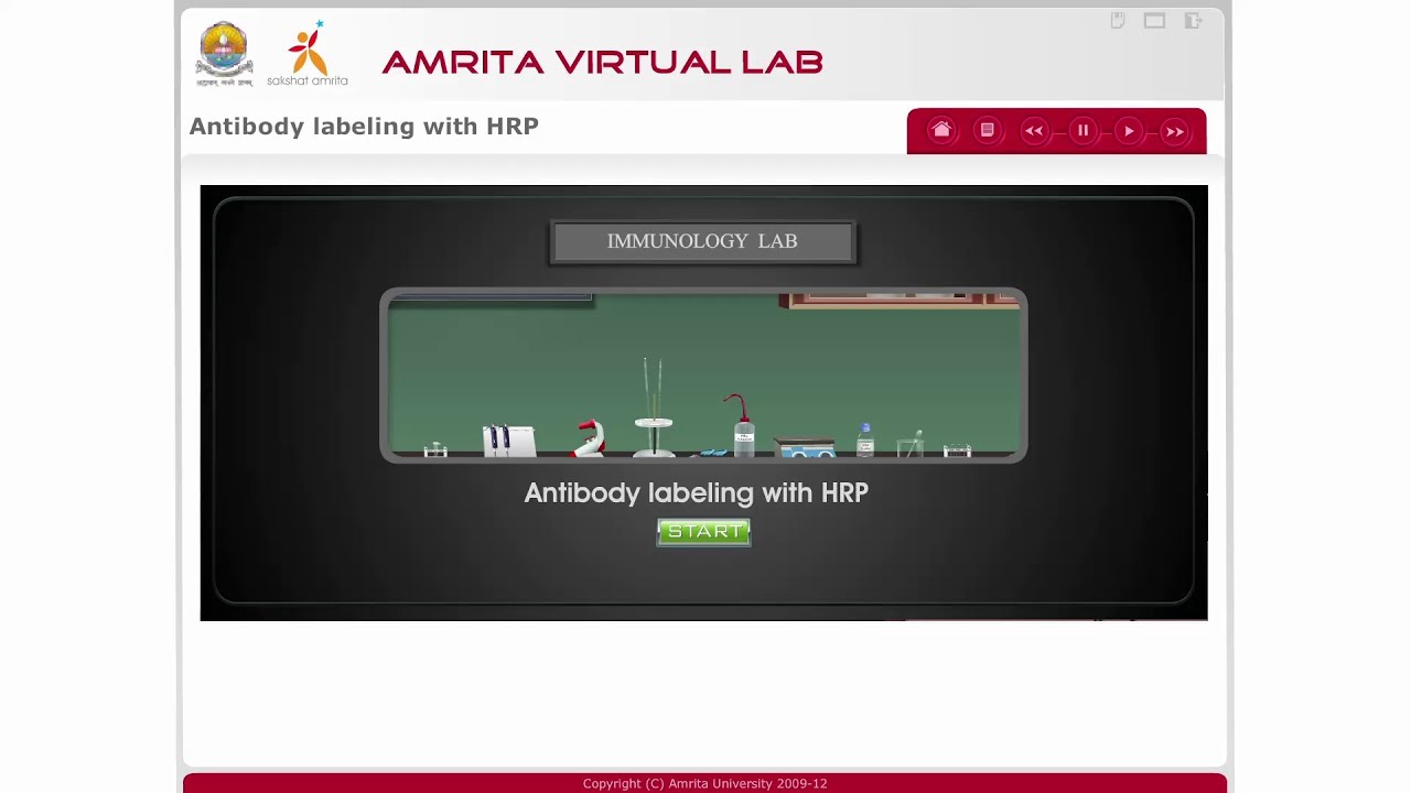 Antibody Labeling with HRP - YouTube