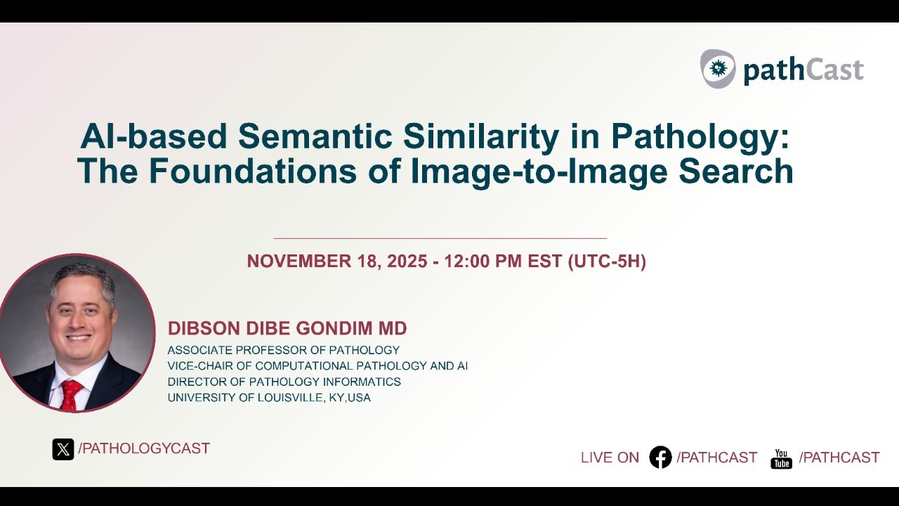 #DIGITALPATH AI-based Semantic Similarity in Pathology: The Foundations ...