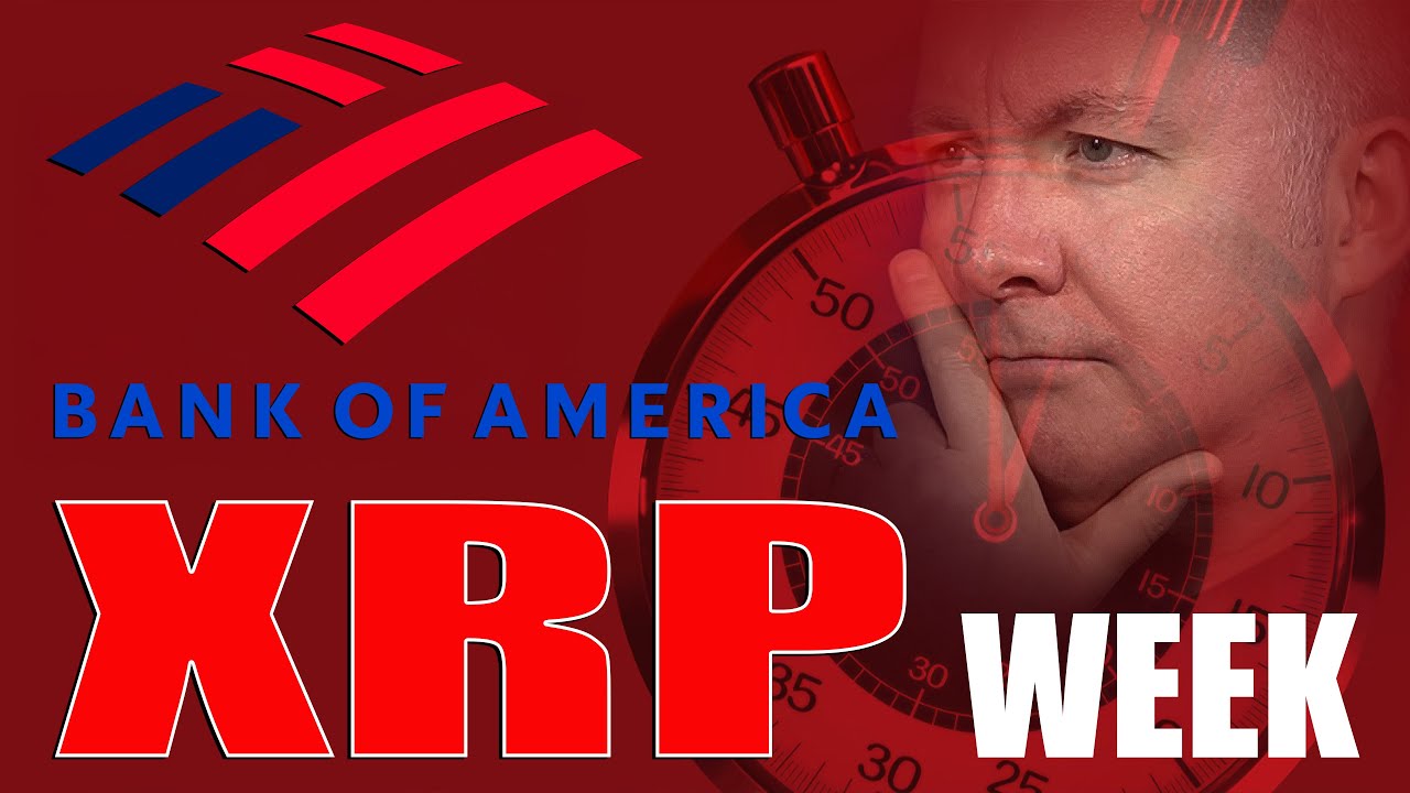 XRP Ripple Bank of America - IS IT TIME! - Martyn Lucas Investor - YouTube