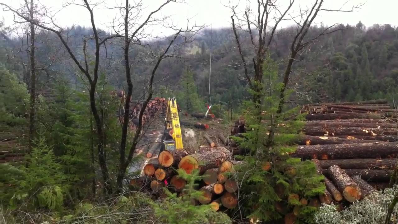 Chinook logging in California - YouTube