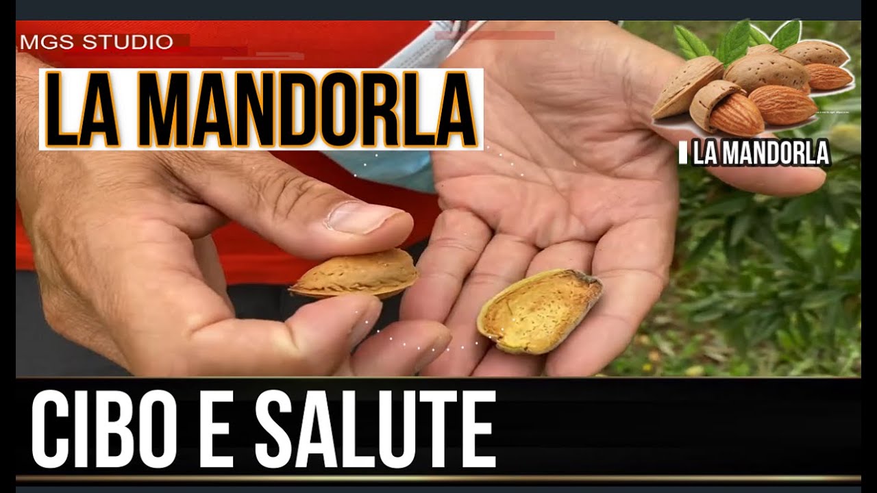 Cibo e Salute La Mandorla - YouTube