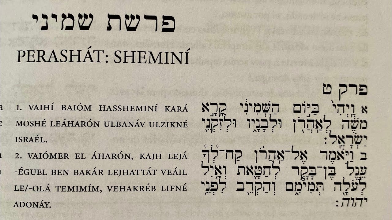 [Parashat shemini - פרשת שמיני] Octavo es nuestro Ruaj en conexión con ...