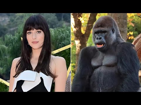 Dakota Johnson's Gorilla Poop Revenge: The Wildest Breakup Payback!