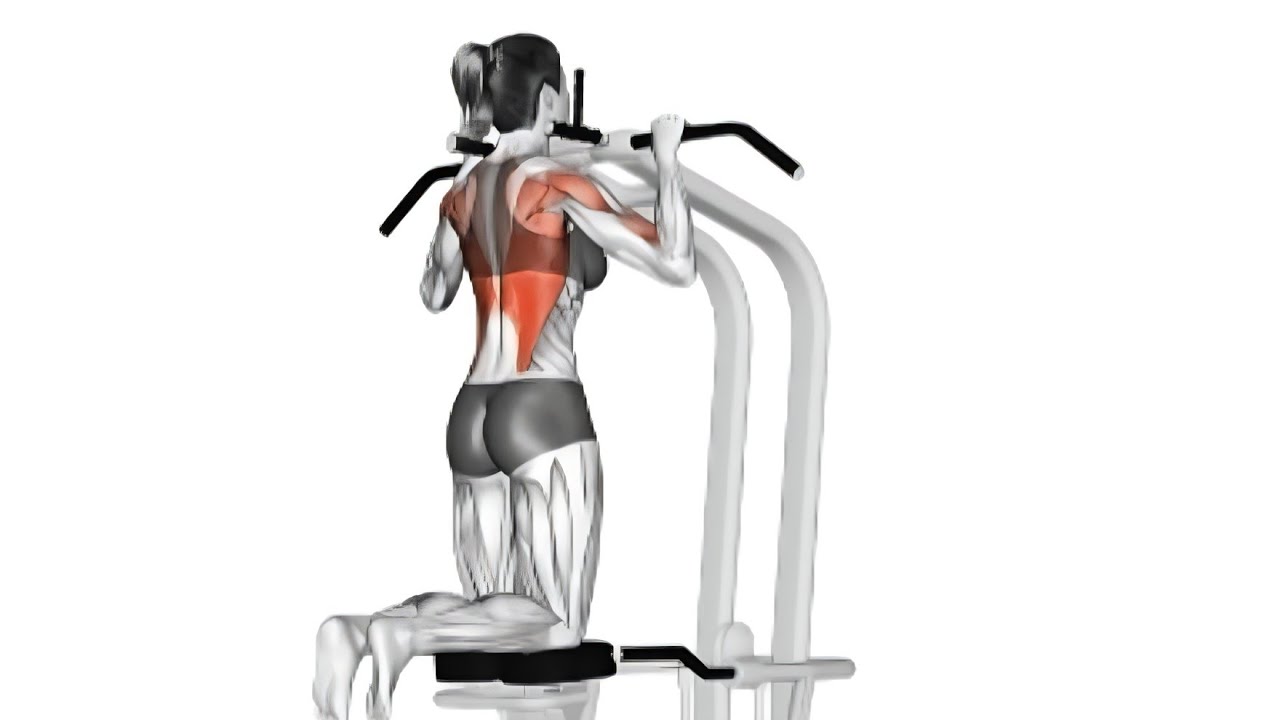 BARRA FIXA no GRAVITON (Pronada) - Execução CORRETA e Análise ...