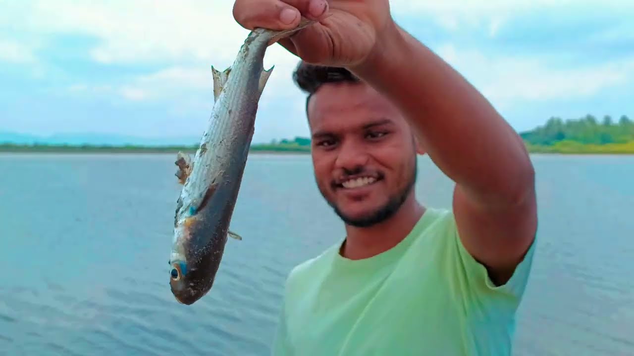 Koli Fishing Blog | All Info Fishing #fishingblog #fishingvideo # ...