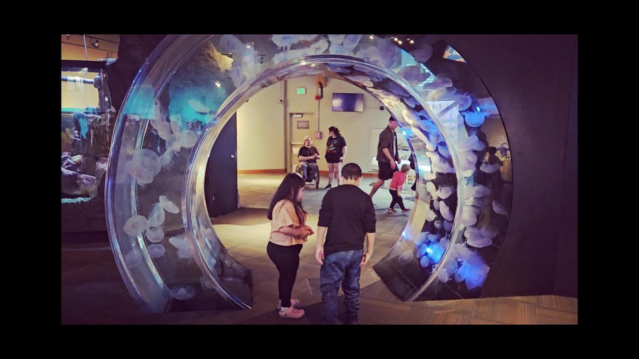 FUN!! FUN!! FUN!!! - YouTube