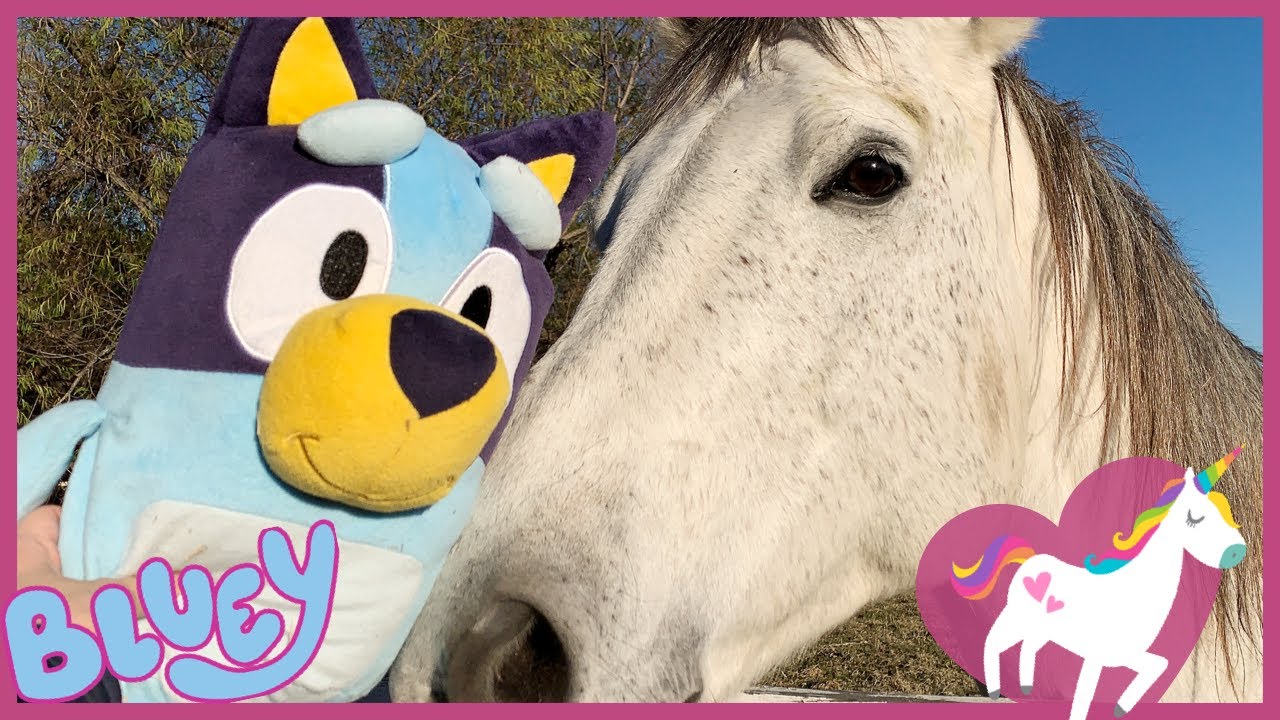Bluey & Bingo 🐴🦄Watch Bluey and Bingo Meet Animals - Horse and a Donkey ...