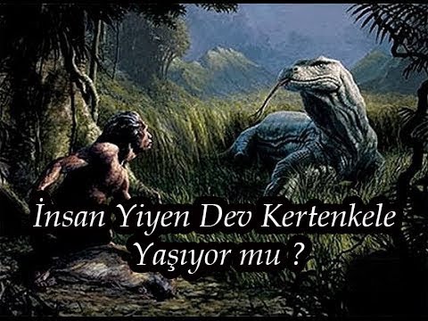 İnsan Yiyen Dev Kertenkele Yaşıyor mu ?