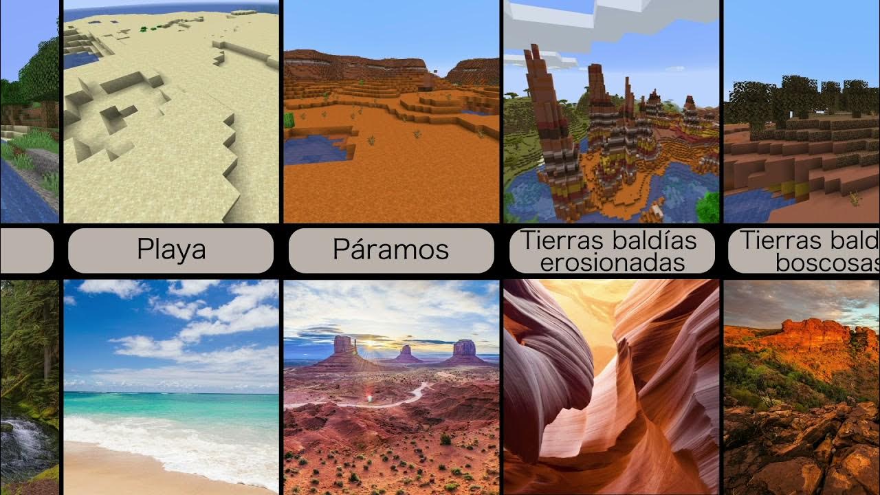 Biomas De Minecraft En La Vida Real Comparación Youtube
