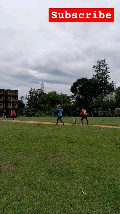 hitting the ball out of the park | #cricket #teniscricket #viral # ...