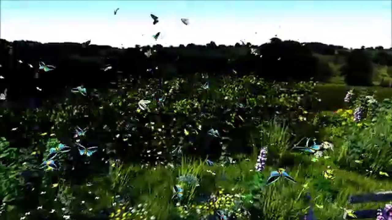 flutterby flowers - YouTube