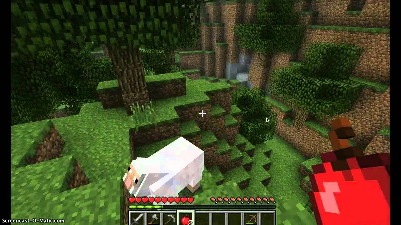Minecraft world starter - YouTube