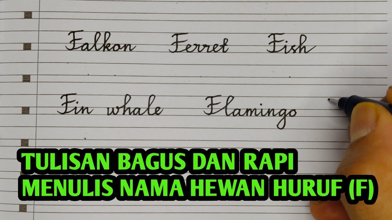 MENULIS INDAH TEGAK BERSAMBUNG NAMA HEWAN HURUF (F) | MENULIS HALUS ...