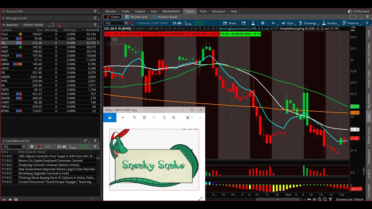 Pre Market Sneaky Snake Trading Strategy Date 8/4 With Washboardjim ...