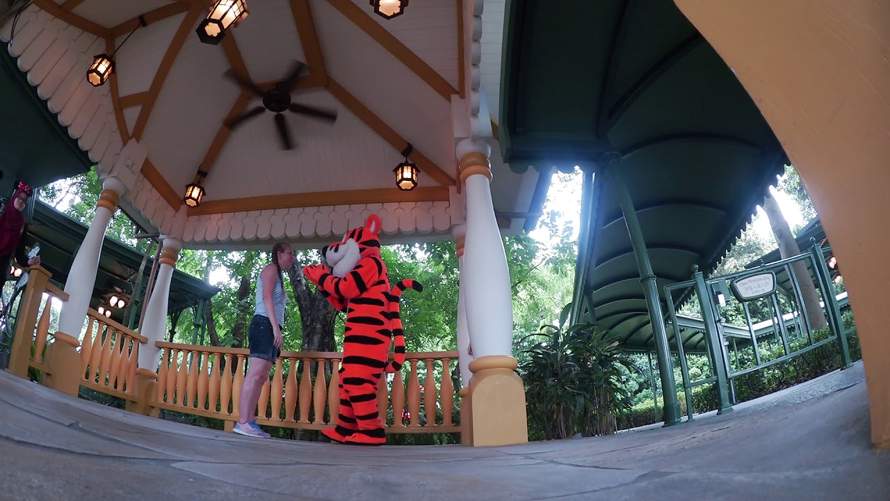 HKDL Summer 2018 day 7 Tigger at Fantasy Gardens - YouTube