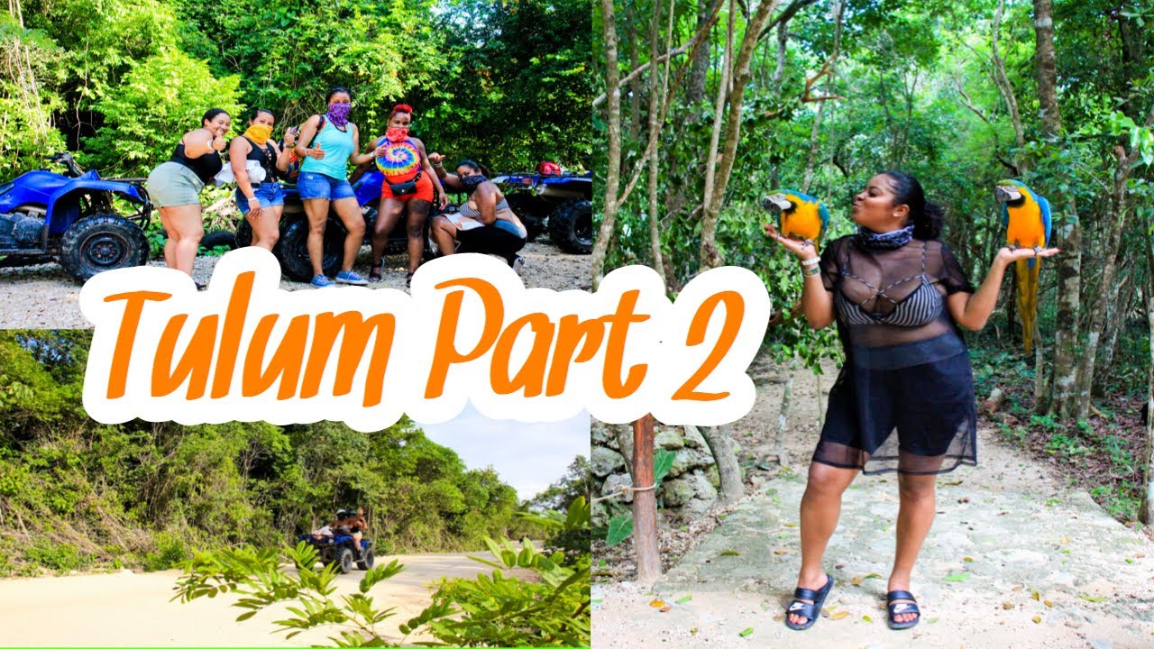 TULUM PT2: Akumal Monkey Sanctuary, ATV, Cenote, and Margaritaville ...