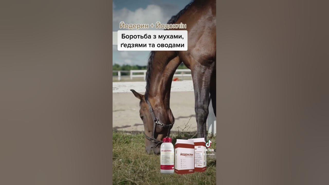 #коні #коневодство #дезінфекція #йодоклін #йодерин #ферма - YouTube