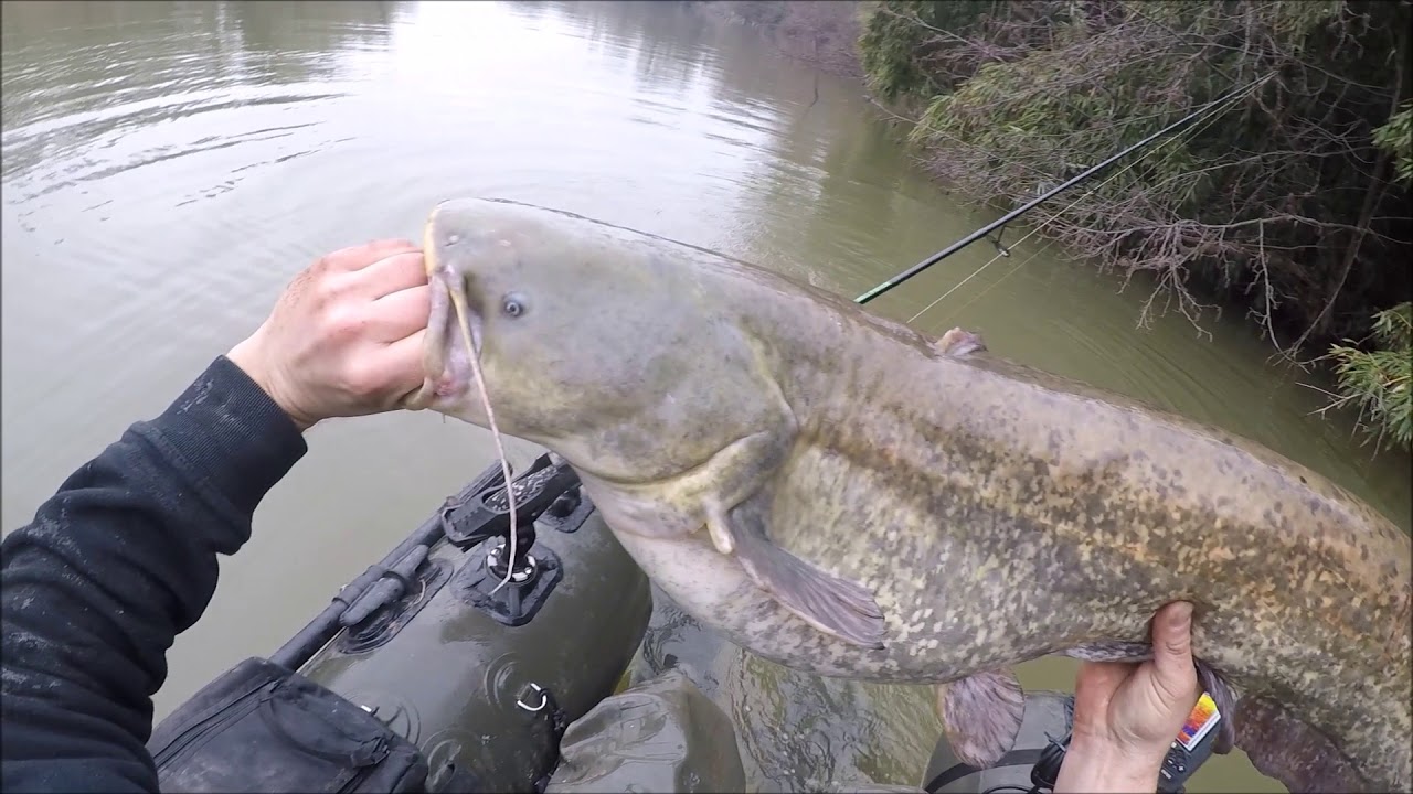 Zeck fishing vertical jig touche en direct - YouTube