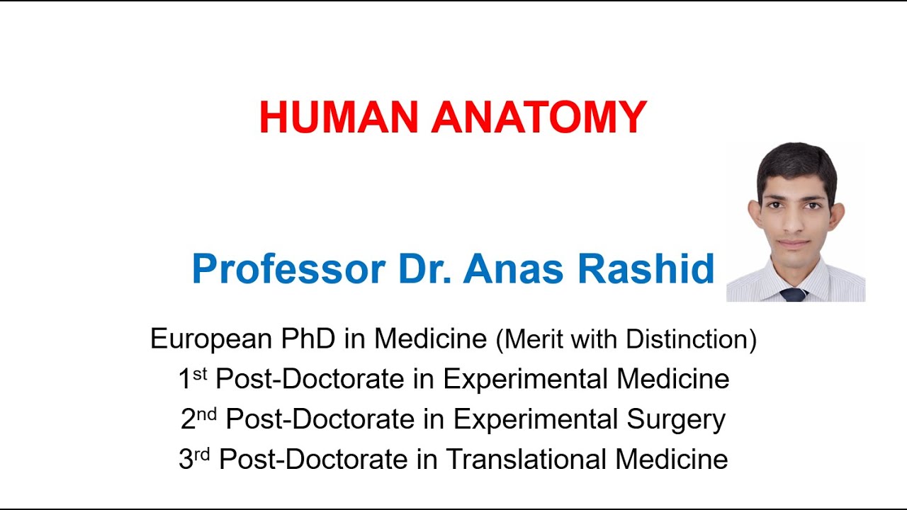 Human Anatomy (Lecture 1: Abdomen with Q & A) - YouTube