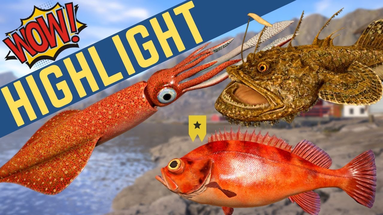 Trophy Small Redfish + 3x Anglers + 2x +1KG Squids | 80m Poppin Off ...