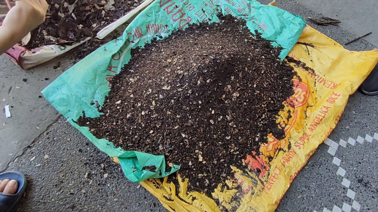 Home Made Compost: Paano Ako Mag Harvest. - YouTube