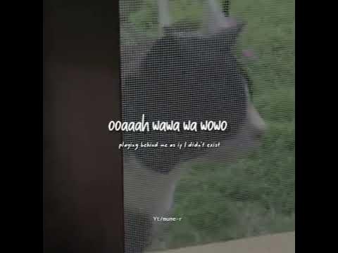 Cat Sing Uwo wawa wa wowo _ Lyrics #shortsvideo #shorts #viralvideo - YouTube