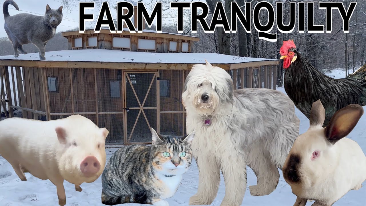 The Tranquil Beauty of Farm Life - YouTube