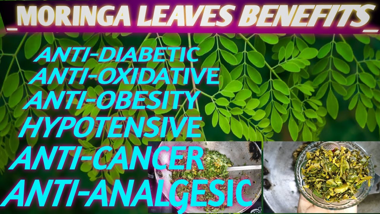 Moringa/ Sahjan Leaves Fry | Easy and Tasty Moringa Leaves Recipe ...