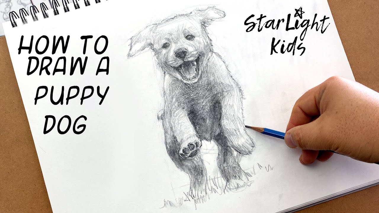 How To Draw A Golden Retriever Step By Step For Kids
