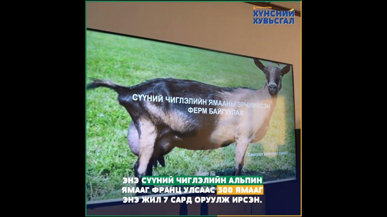 Б НАРАНЦАЦРАЛТ ЭНЭ ОНЫ 5 САРААС МАНАЙ СҮҮ СҮҮН БҮТЭЭГДЭХҮҮН МОНГОЛЫН