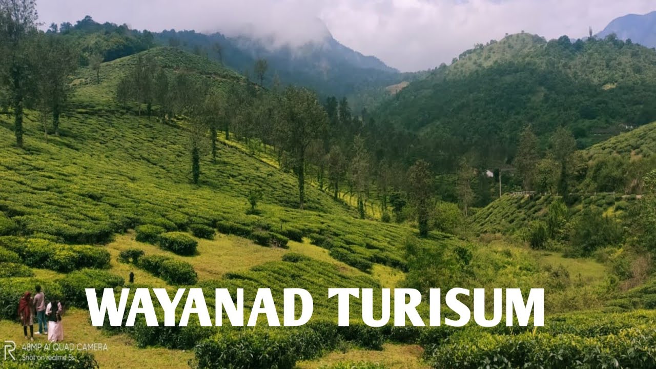 Wayanad beautiful place/Wayanad turisum - YouTube
