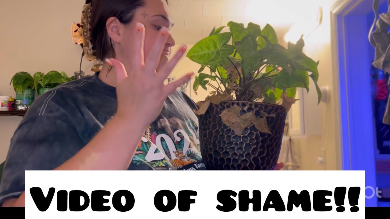 Prime Example of Plant Mom Unhinged | the reality of neglect - YouTube